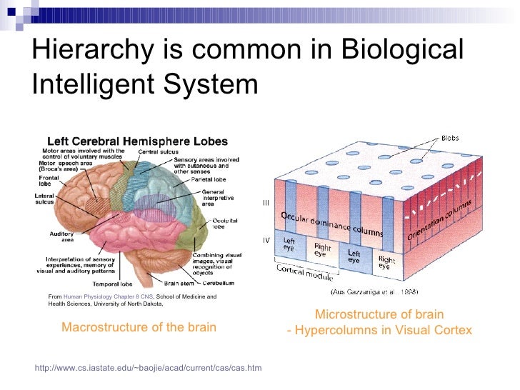 Hierarchical Learning In Complex System 