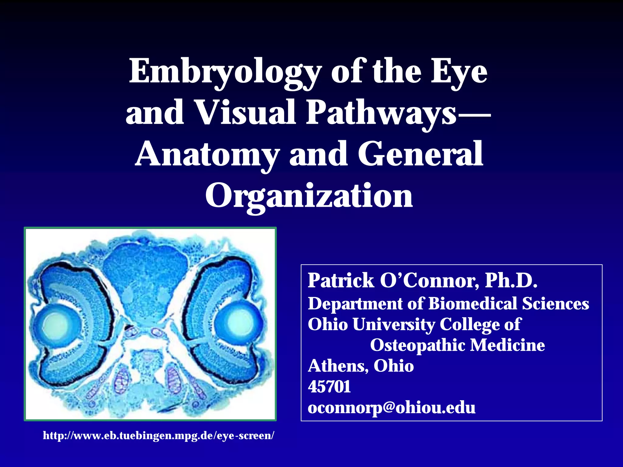 2003-04-16 Peds Eye Embryo.pdf