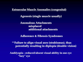 2003-04-16 Peds Eye Embryo.pdf