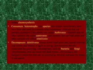 ecology and enviroment | PPT | Geography | Science