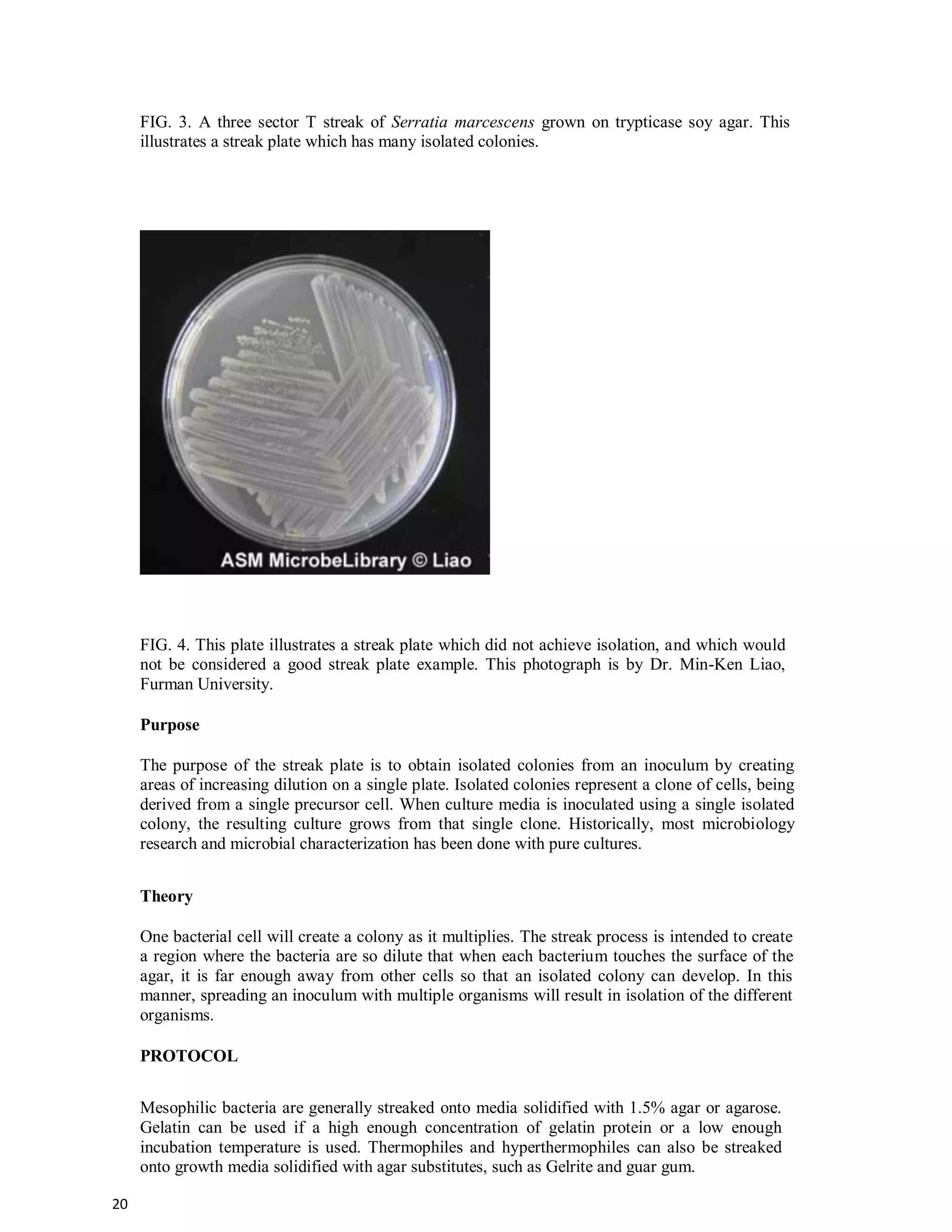 2003 pharmaceutical microbiology lab manual | PDF