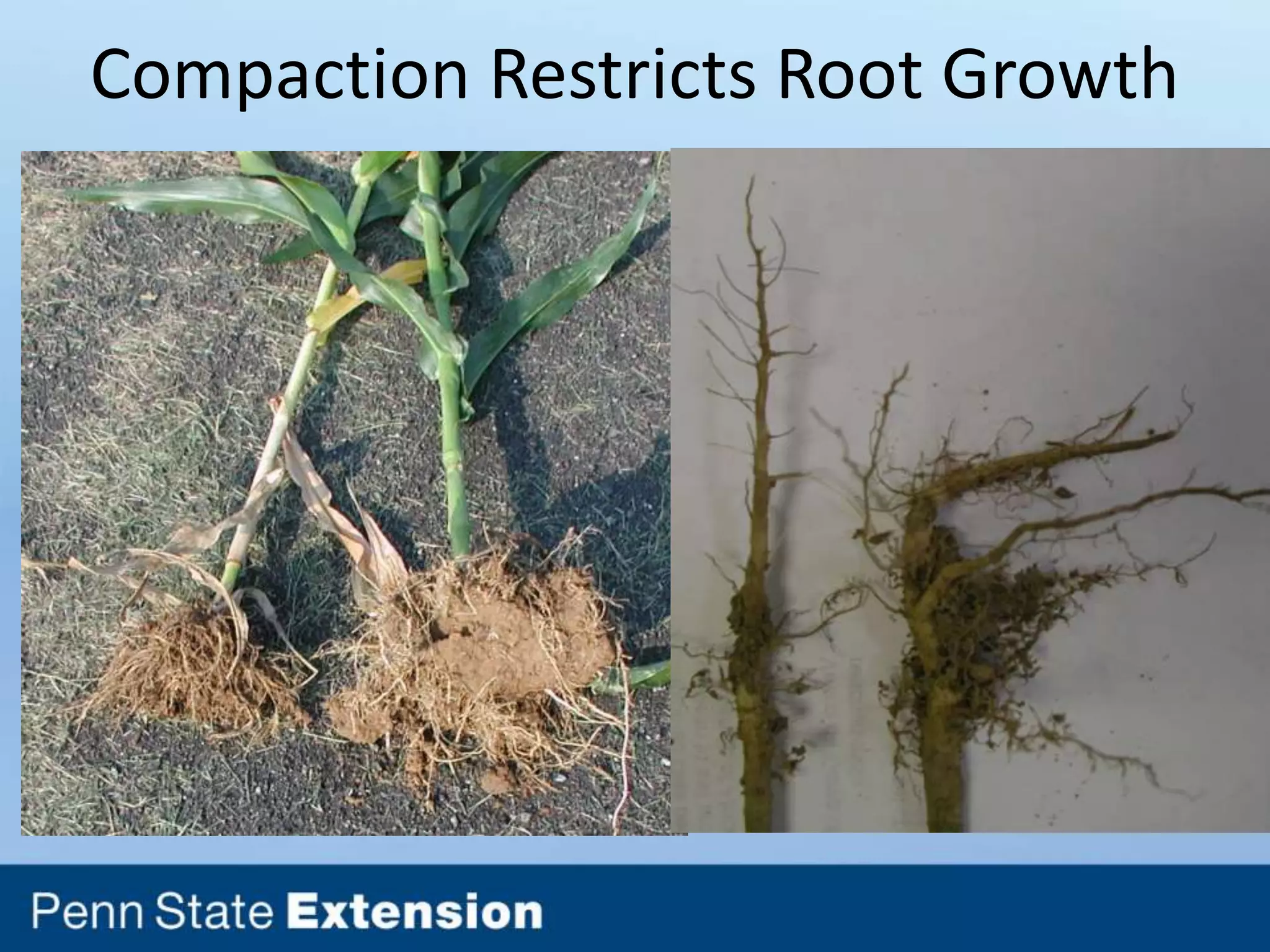 Dr. Sjoerd Duiker - Dealing with Poor Soil Structure and Soil ...