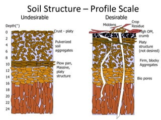 Dr. Sjoerd Duiker - Dealing with Poor Soil Structure and Soil ...