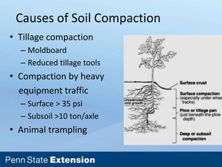 Dr. Sjoerd Duiker - Dealing with Poor Soil Structure and Soil Compaction | PPT