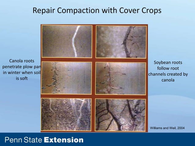 Dr. Sjoerd Duiker - Dealing with Poor Soil Structure and Soil ...