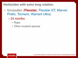 Dr. Jeff Stachler - Setting up a Corn and Soybean Herbicide Program ...