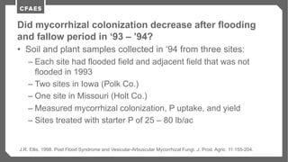 Dr. Stephanie Karhoff - Fallow soil syndrome: is it a problem? | PPT
