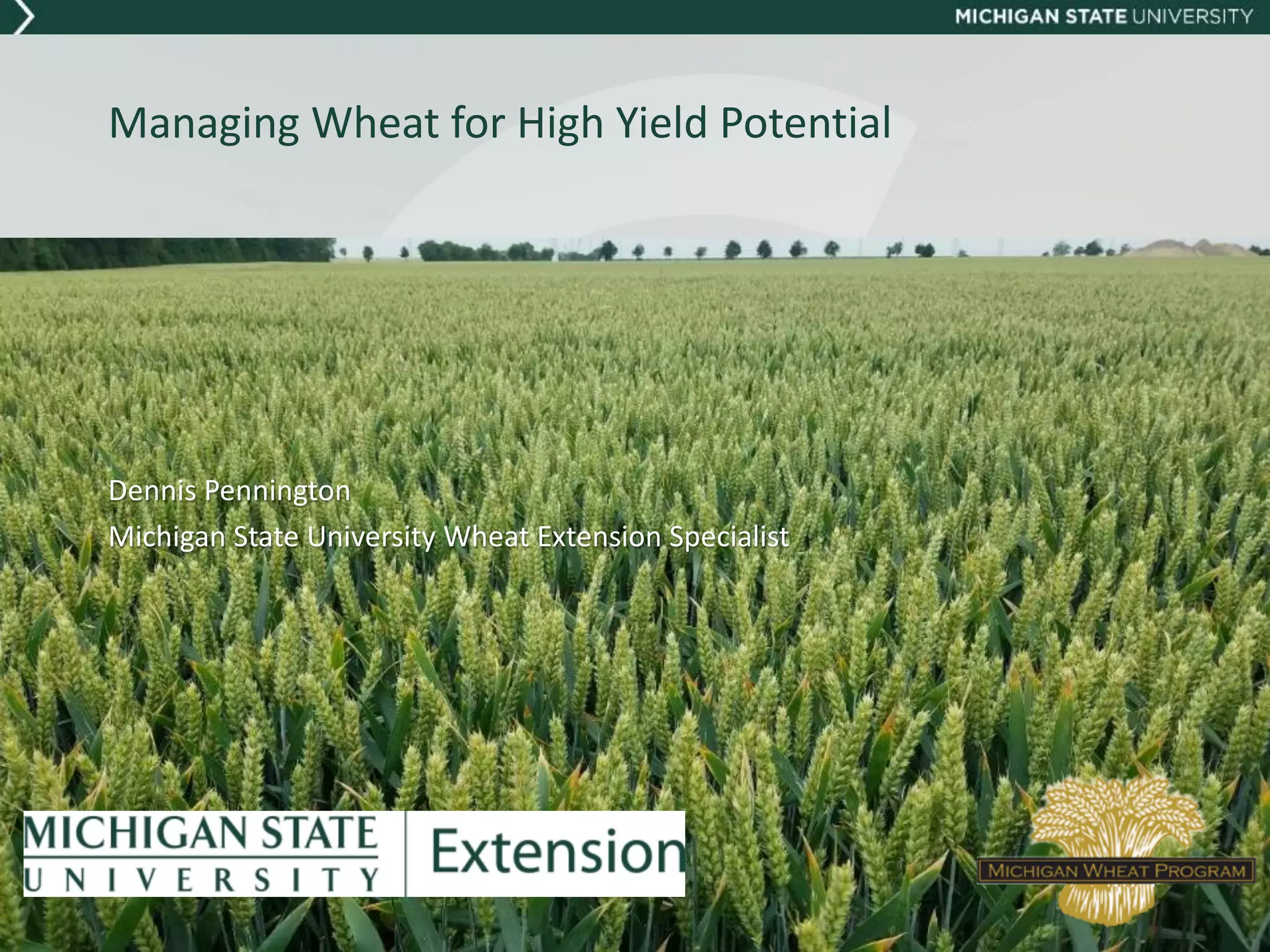 Dennis Pennington - Adding Winter Wheat to your Crop Rotation: Does it ...