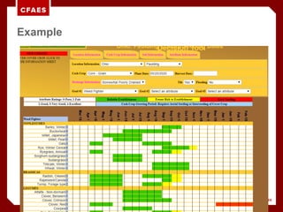 Sarah Noggle - Cover Crop Selector | PPT