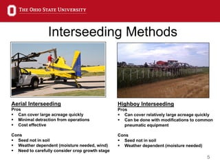 Dr. Ryan Haden - Interseeding Cover Crops into Corn and Soybeans | PDF