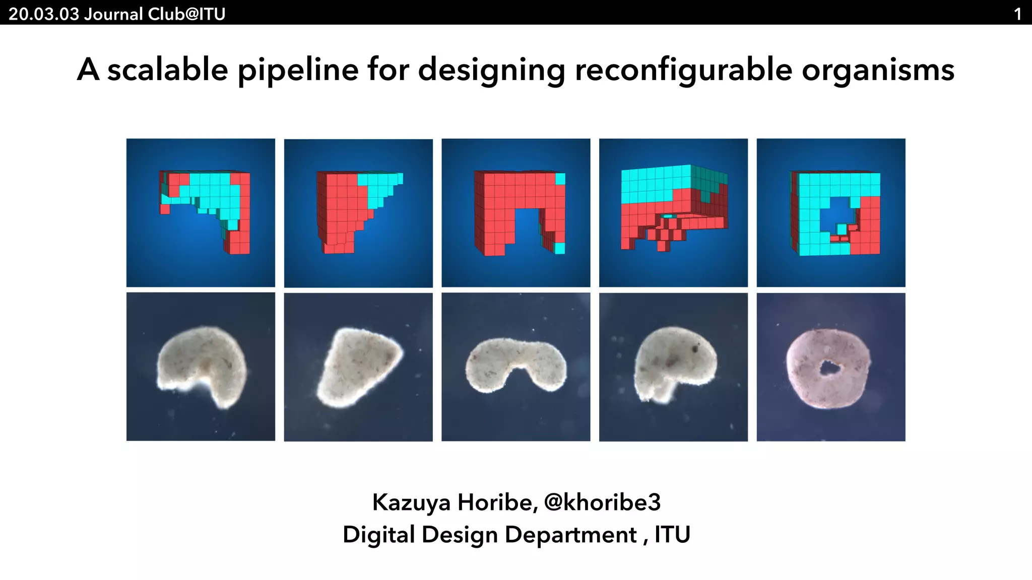 200303a Scalable Pipeline For Designing Reconfigurable Organisms Ppt