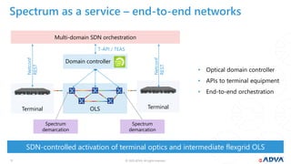 Introducing spectrum as a service | PDF