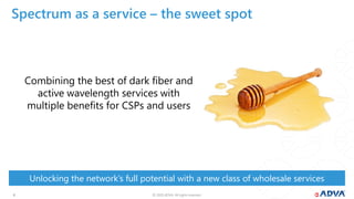 Introducing spectrum as a service | PDF