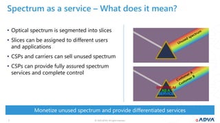 Introducing spectrum as a service | PDF