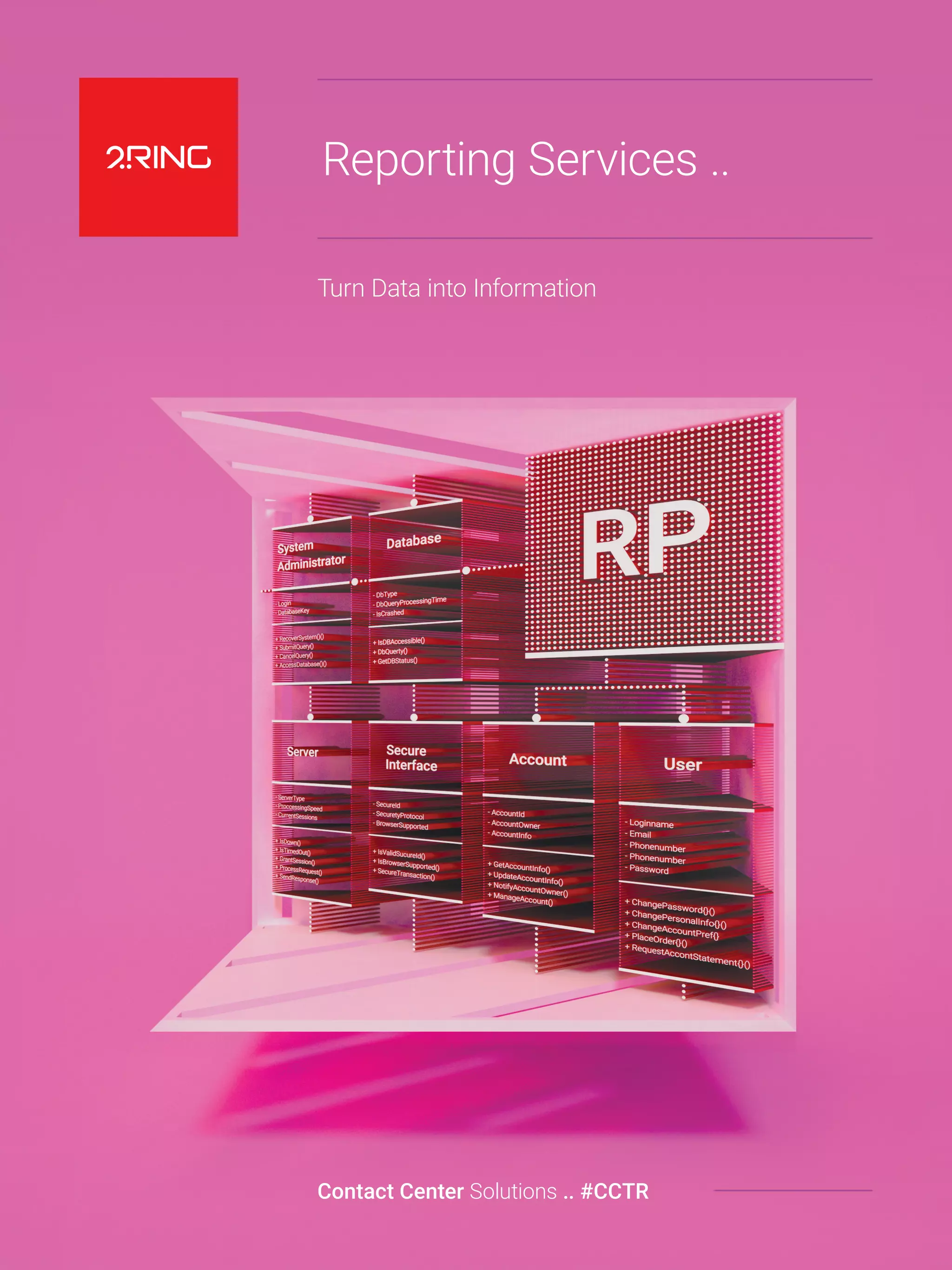 2Ring Reporting Datasheet | PDF