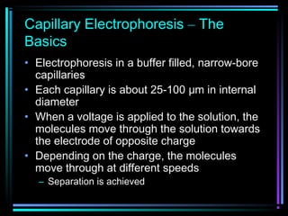 2003 capillaryelectrophoresis | PPT