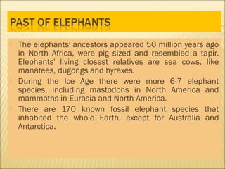 2003 format sadaf presentation | PPT