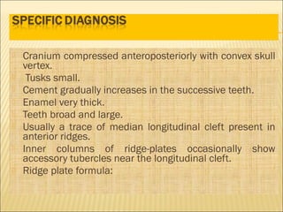 2003 format sadaf presentation | PPT