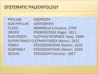 2003 format sadaf presentation | PPT