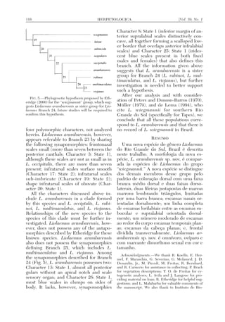2003 new species_liolaemus | PDF