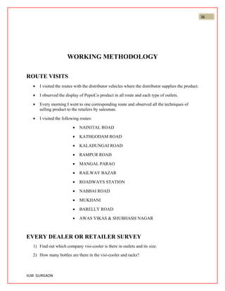 2003 pepsi project report | DOC | Sales | Business