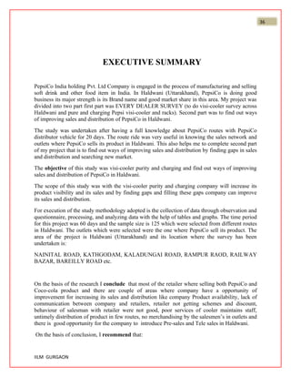2003 pepsi project report | DOC