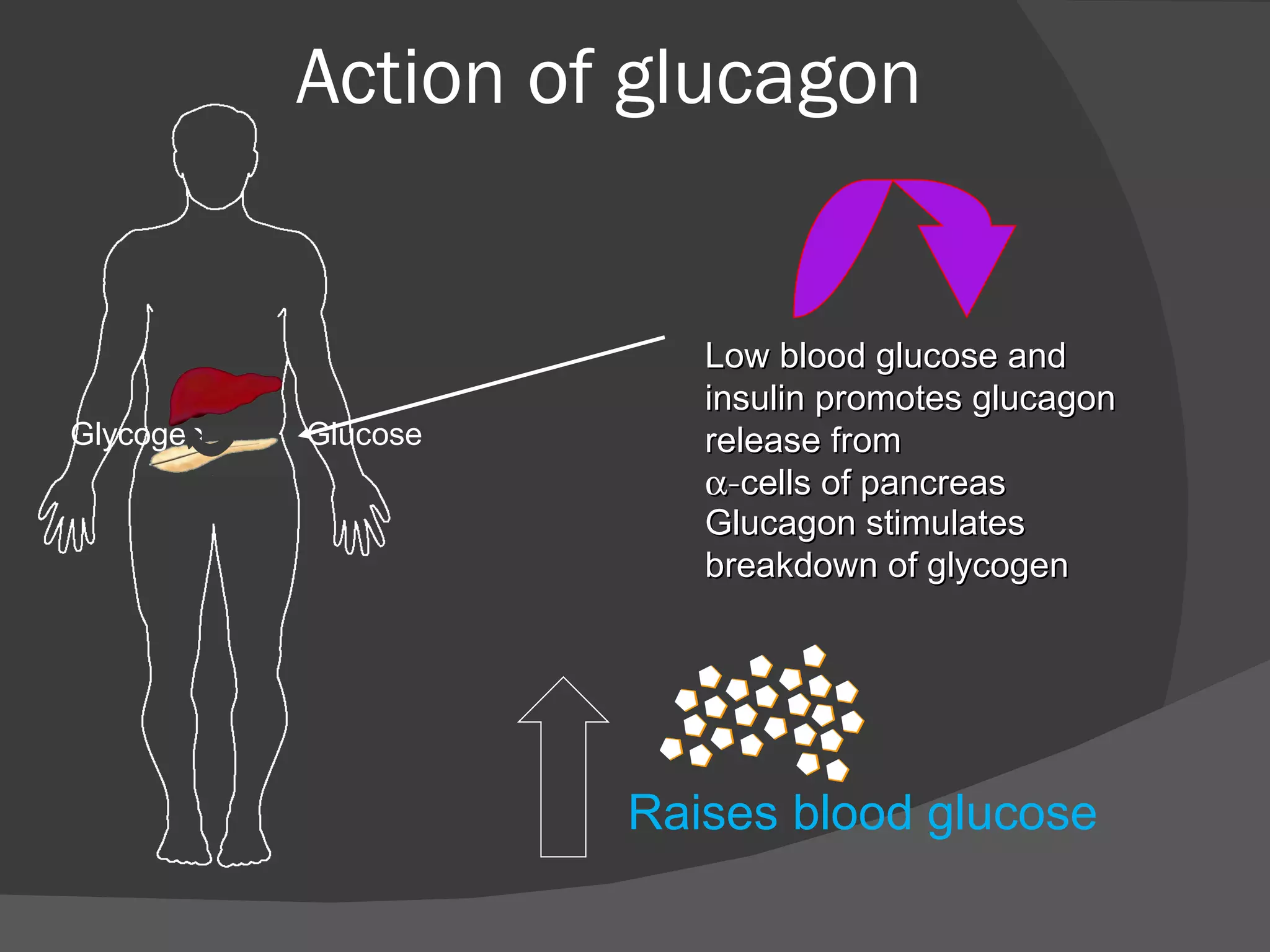 2003 role of incretins in glucose homeostasis and diabetes | PPT