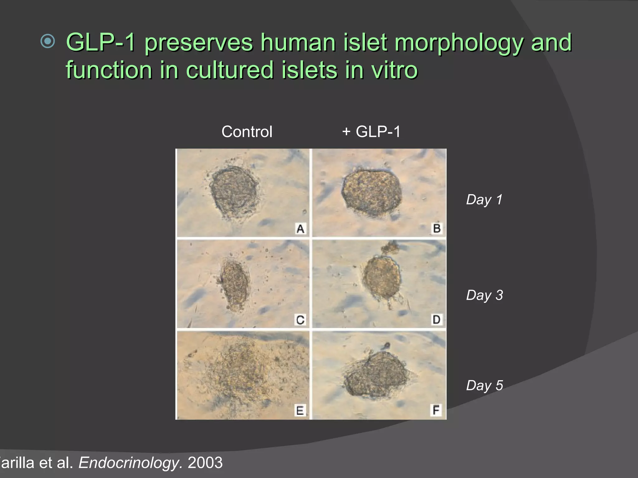 2003 role of incretins in glucose homeostasis and diabetes | PPT