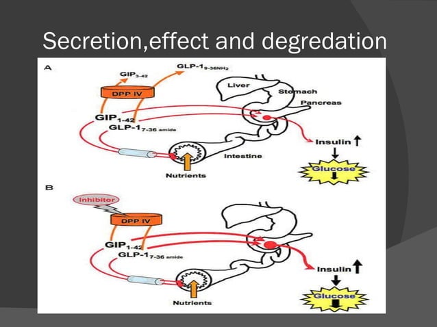 2003 role of incretins in glucose homeostasis and diabetes | PPT ...