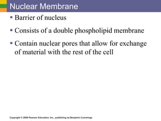 200402389-marieb-ch3a.pdf cells and tissues | PDF
