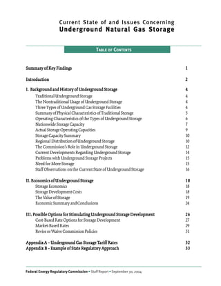 20041020081349 final-gs-report | PDF