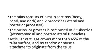 200421 Fractures of the talus | PPTX