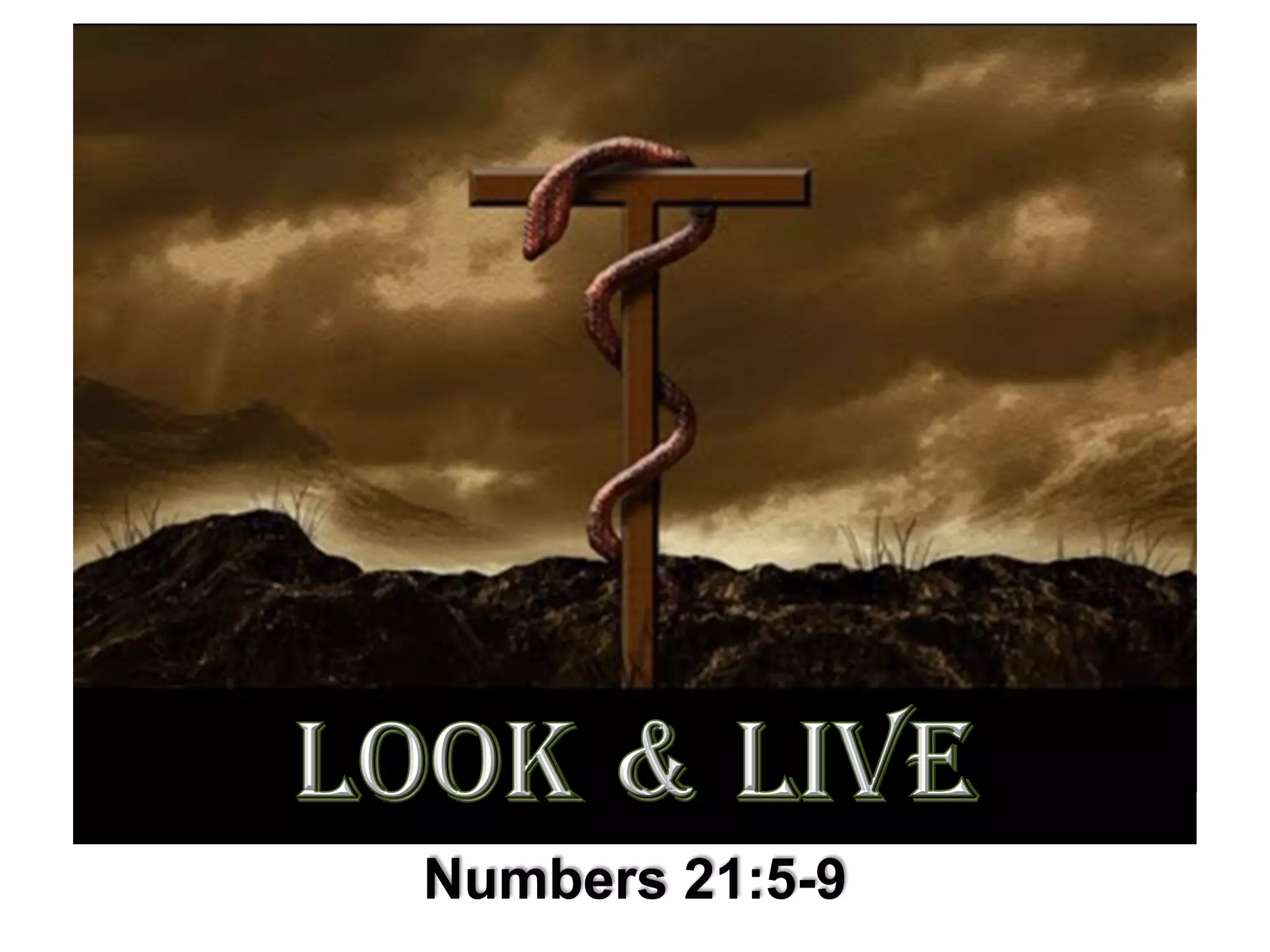 Look & Live - Numbers 21:5-9 | PDF