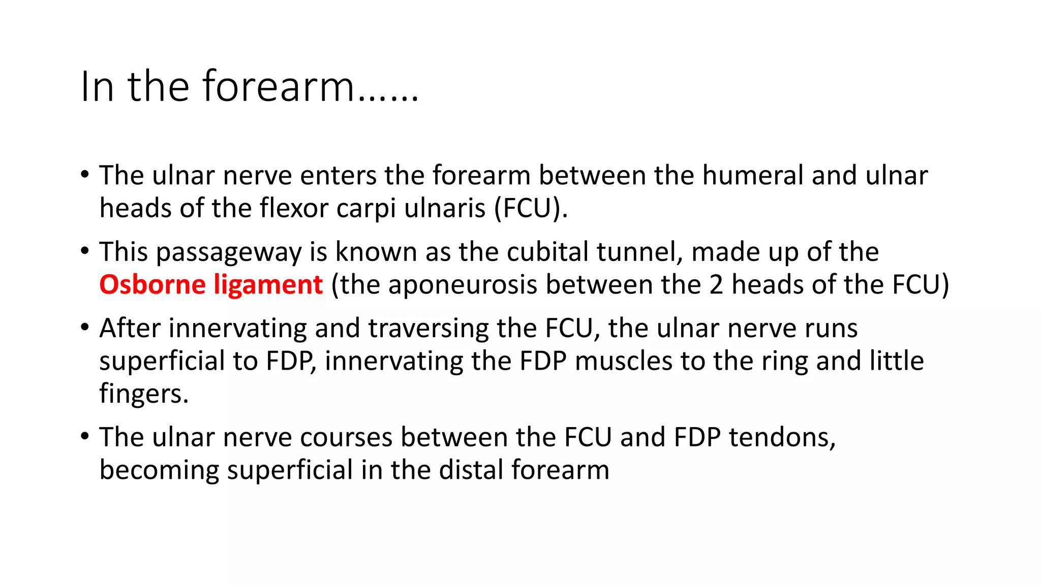 200427 Examination of compressive neuropathies of ulnar nerve | PPTX
