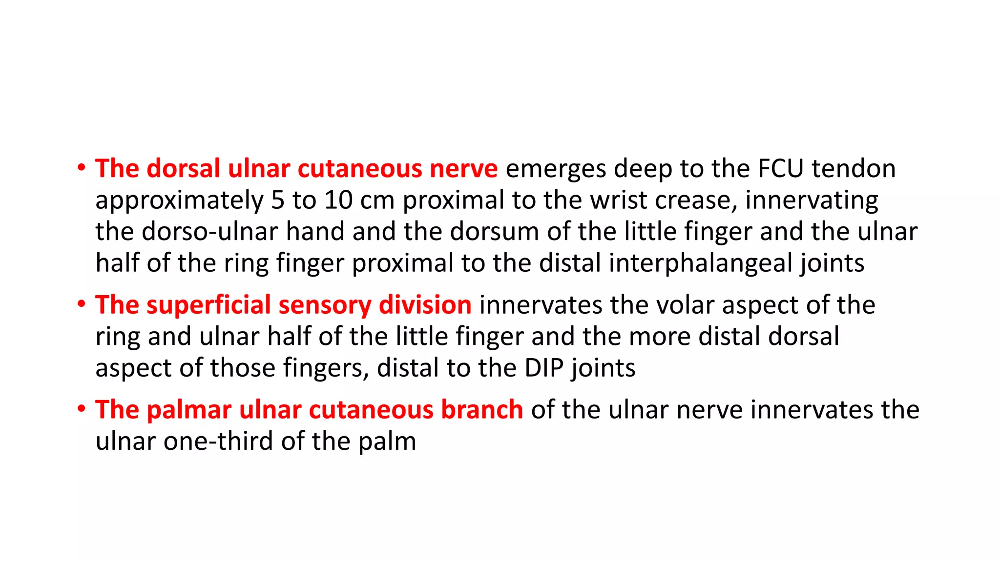 200427 Examination of compressive neuropathies of ulnar nerve | PPTX