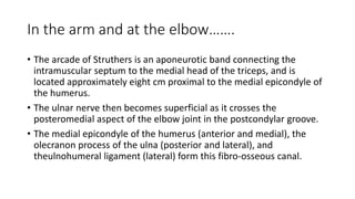 200427 Examination of compressive neuropathies of ulnar nerve | PPTX ...