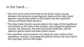 200427 Examination of compressive neuropathies of ulnar nerve | PPTX ...