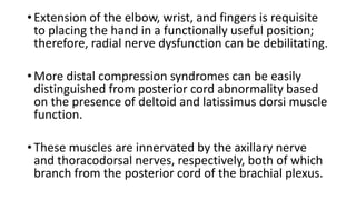 Examination in compressive neuropathies of the radial nerve | PPTX