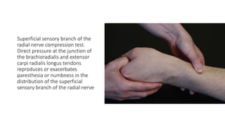 Examination in compressive neuropathies of the radial nerve | PPTX