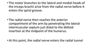 Examination in compressive neuropathies of the radial nerve | PPTX