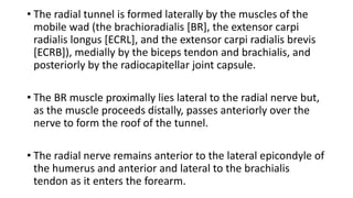 Examination in compressive neuropathies of the radial nerve | PPTX
