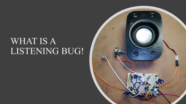 Listening Bug.ppt