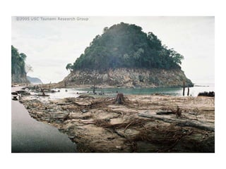 Tectonics: 2004 Boxing Day Tsunami | PPT