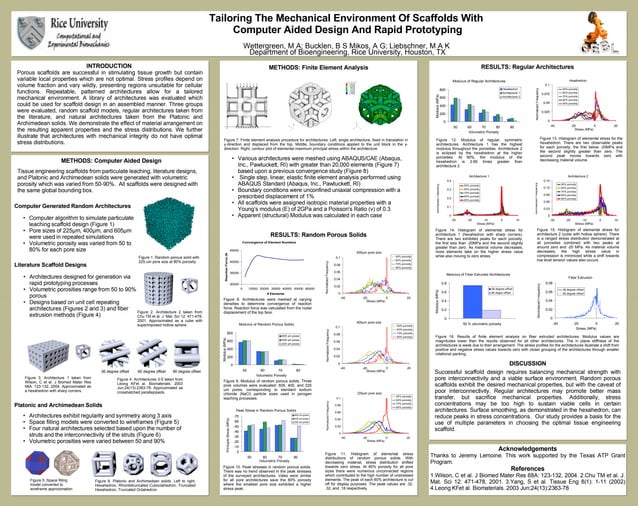 Poster: Tailoring the Mechanical Environment of Scaffolds with Computer ...