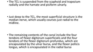 200501 Acute carpal tunnel syndrome | PPT