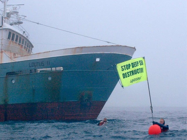 Initiatives to Protect the Deep Sea | PPT