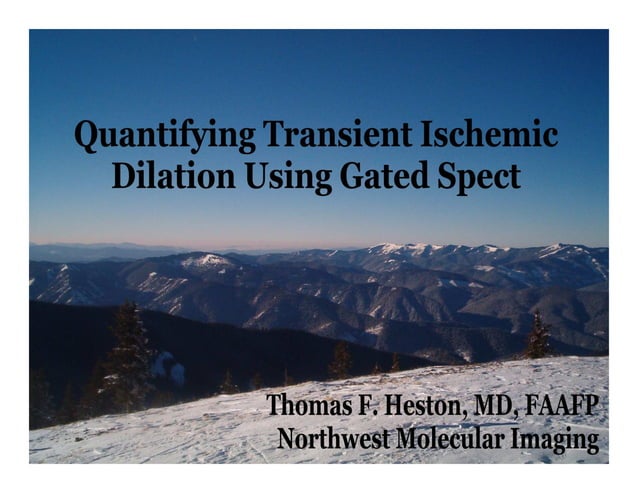 Redefining the Transient Ischemic Dilation Ratio | PDF
