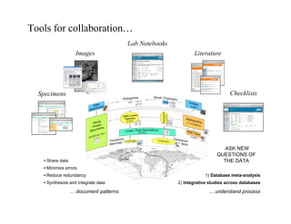 2005.V Smith.Cybertaxonomy | PDF