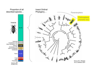 2005.V Smith.Cybertaxonomy | PDF