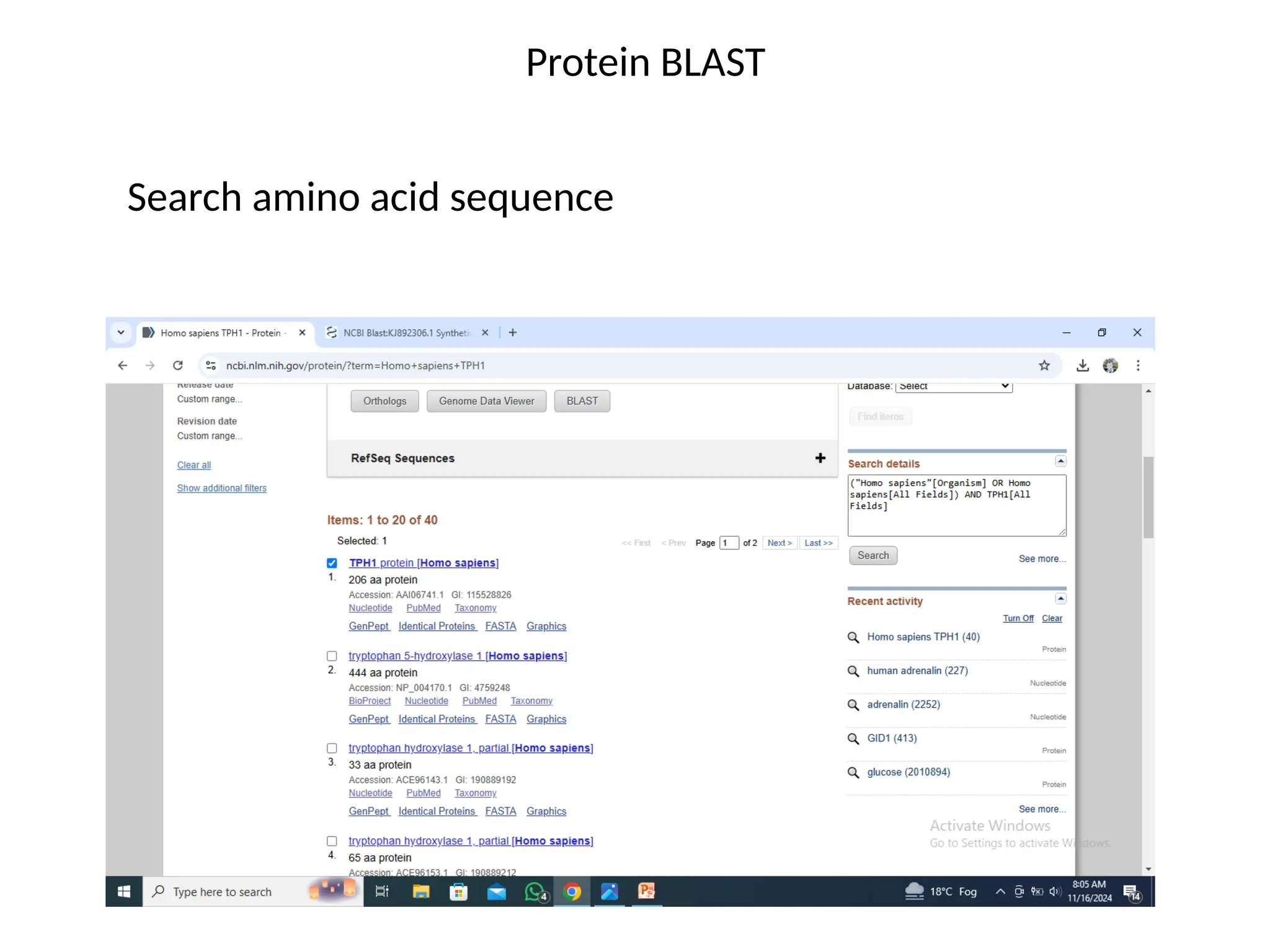 Blastn, Blastp & Phylogenetic tree using mega 11.pptx